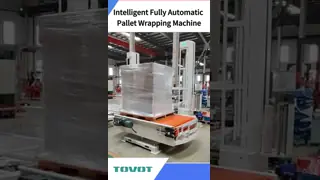 Intelligent Fully Automatic Pallet Wrapping