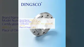 Alloy 926 Flange Superior Corrosion Resistance for Offshore