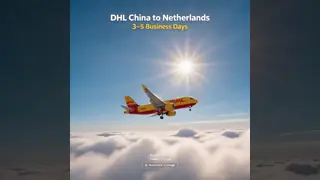 Fast DHL Shipping China to Netherlands Explained