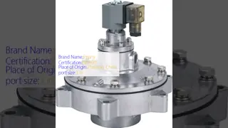 Durable Embedded Solenoid Pulse Jet Valve Industrial Solution