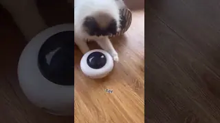 UFO Automatic Pet Toy Keeps Cats Active and Floors Clean