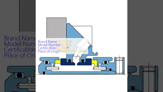 AES CDPH Double Slurry Seal for Heavy Duty Pumps