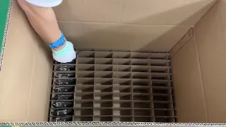 Professional PCBA Packaging Solutions for Electronics