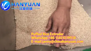 Puffed Rice Extruder Machine Product Introduction