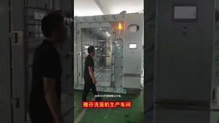 Factory Walk-in Cage Washer