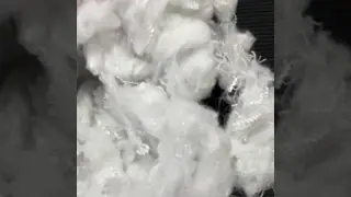 2.5D×51MM Imitation Large Grade Polyester Staple Fiber, High Tenacity Uniform Spinning Grade PSF