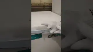 -30 ℃ low temperature test in freezer, low temperature caster
