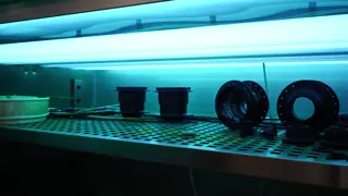 Extreme Product Temperature Limit Test Results