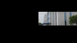 Professional Business Solutions Why Choose Our Company