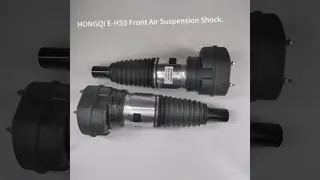 Hongqi E HS9 Front Air Suspension Shock Strut Replacement