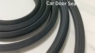 Car Door Seal