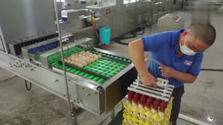 104B egg grading machine
