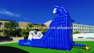 Inflatable Dolphin Water Slide