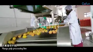 Complete Mango Puree Processing Line Turnkey Solution
