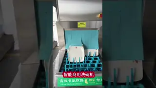 Continuous Conveyor Dishwasher, Large-Capacity Commercial Automatic Dishwashing Equipment for Hotels