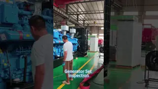 On-site Loading of Diesel Generator Sets