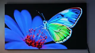 See the Unseen: High-Grayscale LED Screen Reveals Every Detail