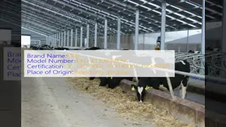 Durable Hot Dip Galvanized Steel Poultry House Solutions