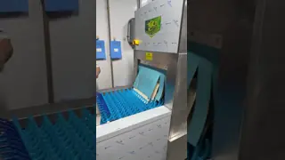 Large Tray Flight Type Dishwasher – Washing Process Ongoing
