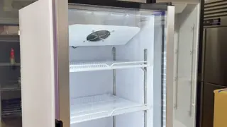 250L Commercial Glass Door Freezer Efficient Cooling Solution