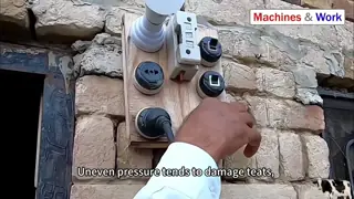 Hot Selling Milking Machine for Cows