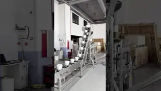 Automatic Vertical Packing Machine for Jellyfish with Bowl Conveyor