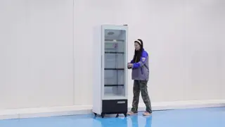 Best Solar Powered Chest Freezer for Off Grid Cooling