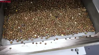 AI sorting - Maple peas
(impurities, black beans, white beans, damaged)
