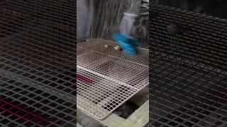 Automatic Silver Ingot Spray Painting Machine Solution