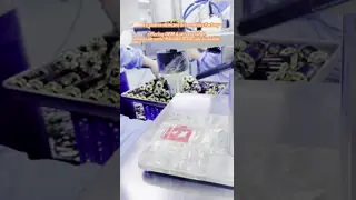 Korean Recombinant Collagen Skincare Set for Anti Aging
