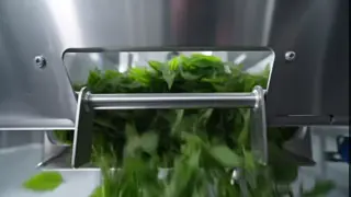 Pure Farm Direct Chinese Matcha Rich in Antioxidants