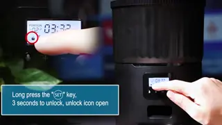 4L Automatic Smart Pet Feeder Review Reliable Food Dispenser