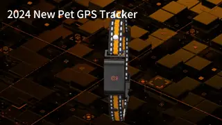 Smart GPS Pet Tracker Real Time Location and Safety