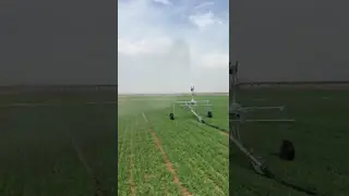Hose Reel Irrigation Machine with Rain Gun Travelling Sprinkler Irrigator for Farmland Agricultural