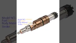Premium 2894920 Fuel Injector for Diesel Engine Efficiency