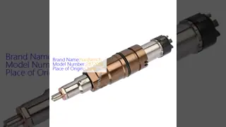 High Quality Common Rail Diesel Fuel Injector 2872056
