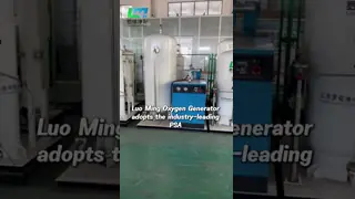 Luo Ming PSA Oxygen Generator - Molecular Sieve for Efficient Oxygen Production