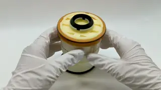 Diesel Fuel Filter