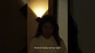 Devil fish induction lamp