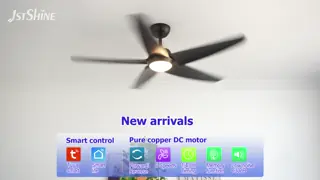 Modern 52 Inch Black Ceiling Fan with LED Light Review