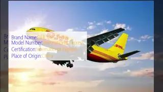 Fast DHL Shipping from China to USA Door to Door