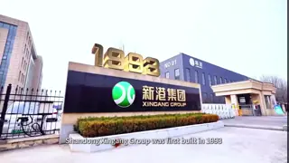 Xingang Biomimetic Wood Zero Formaldehyde Healthy Living