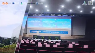 From Zero to Global Success DIG's International Business Journey
