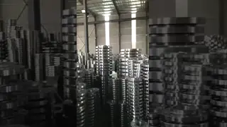 Nickel Alloy Flange