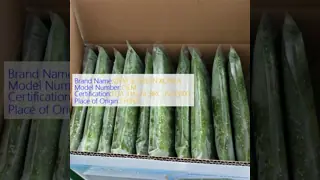 Premium Wholesale Frozen Seaweed Salad Chuka Wakame