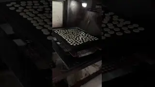 Automatic Spray Painting Machine for Black Buttons