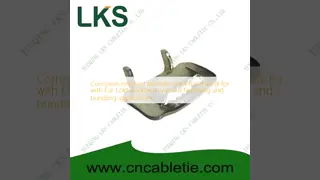 Stainless Steel Ear Lokt Buckles for Secure Fastening
