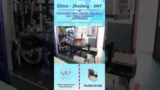 Automatic Double Side Stator Lacing Machine for Motors