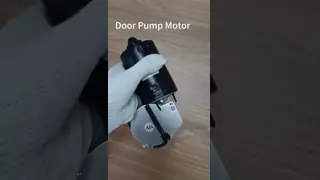 Door Pump Motor