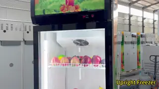 Single Door Vertical Air Cooling Refrigerated Display Cooler